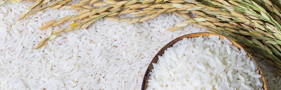 The Future of Rice: Emerging Varieties and Genetic Innovations