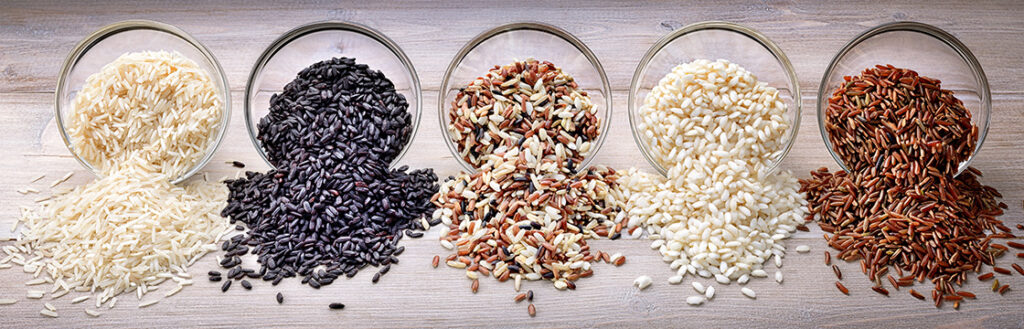 Exploring Indian Rice Types & Tips for Choosing the Best Quality Exploring Indian Rice Types & Tips for Choosing the Best Quality