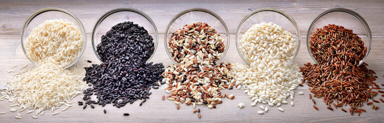 Exploring Indian Rice Types & Tips for Choosing the Best Quality
